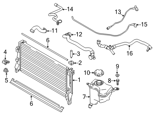 17128647256 Genuine BMW Hose Expansion Tank-Cylinder Head | BMW Parts Deal