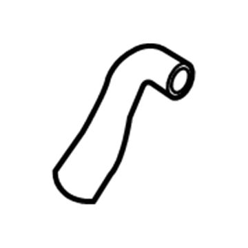 13717808158 Genuine BMW Hose | BMW Parts Deal