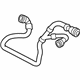 17127619685 Genuine BMW Coolant Hose | BMW Parts Deal