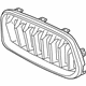 51118069096 Genuine BMW Grille, Middle Bottom | BMW Parts Deal